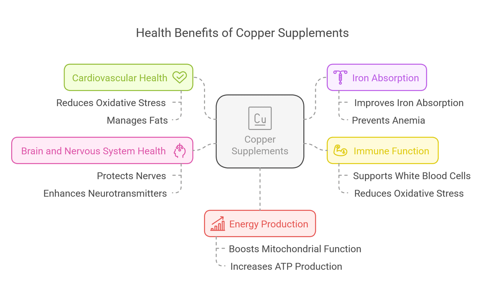 Discover the Uses and Benefits of Copper Today