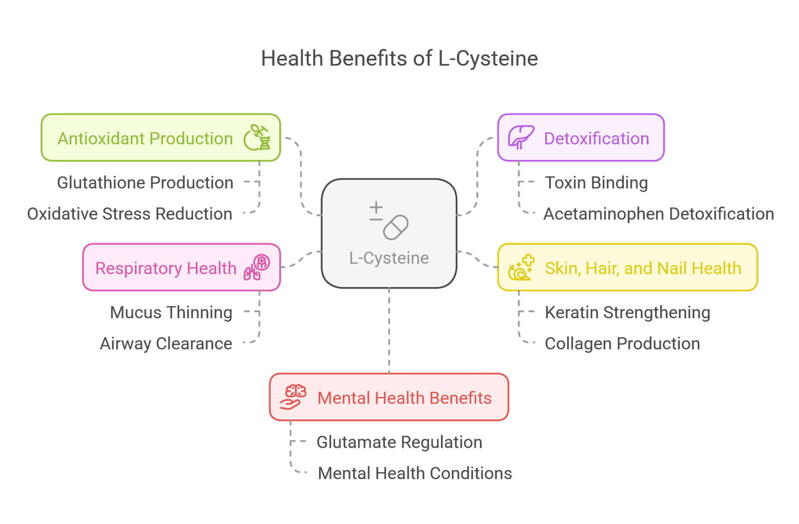L-Cysteine Benefits: Antioxidants, Detox, Hair & Skin Health